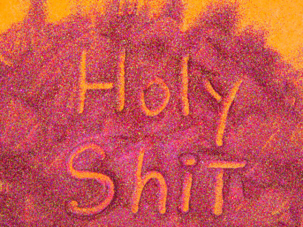 holy shit(ホーリーシット)の意味は？下品なスラング・悪口の言い換え
